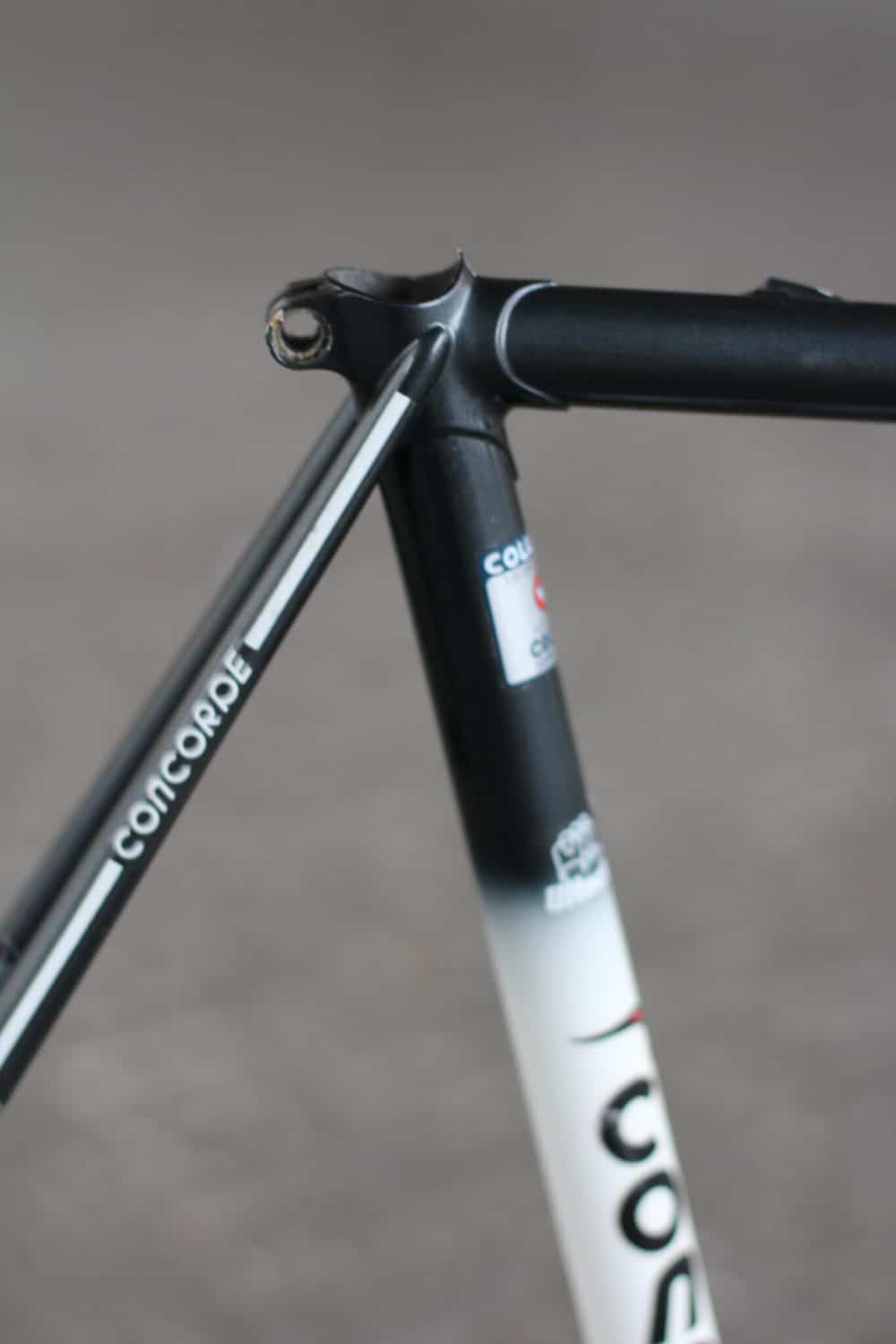 Concorde Astore PDM Frame / 56 cm – velowizard.com