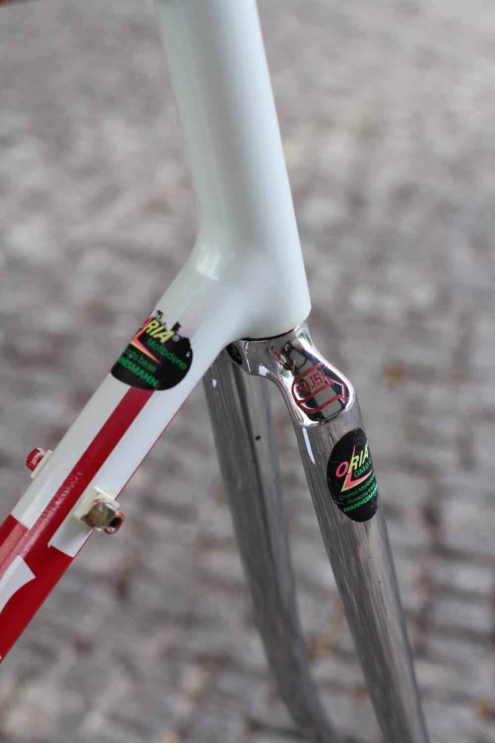 Francesco Moser Leader Frame / 60 cm – velowizard.com