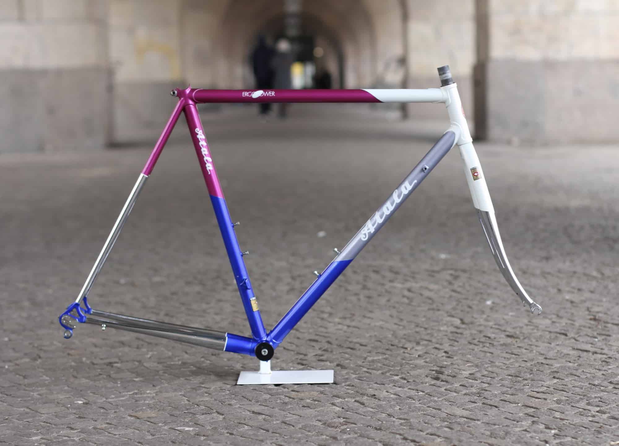 Atala Columbus EL Frame / 56 cm / White Blue Pink / 2.554g / Campagnolo ...