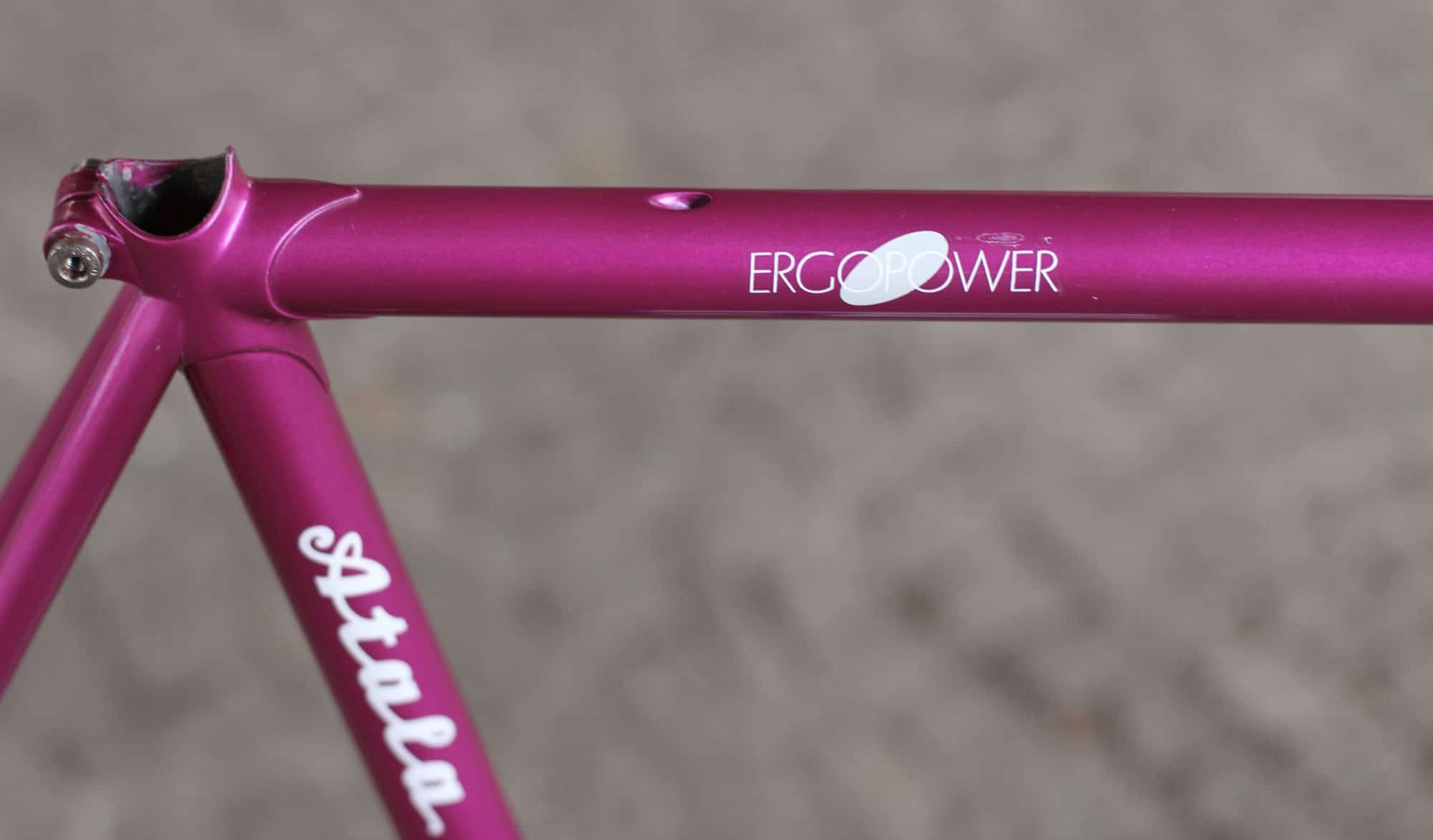 Atala Columbus EL Frame / 56 cm / White Blue Pink / 2.554g / Campagnolo ...