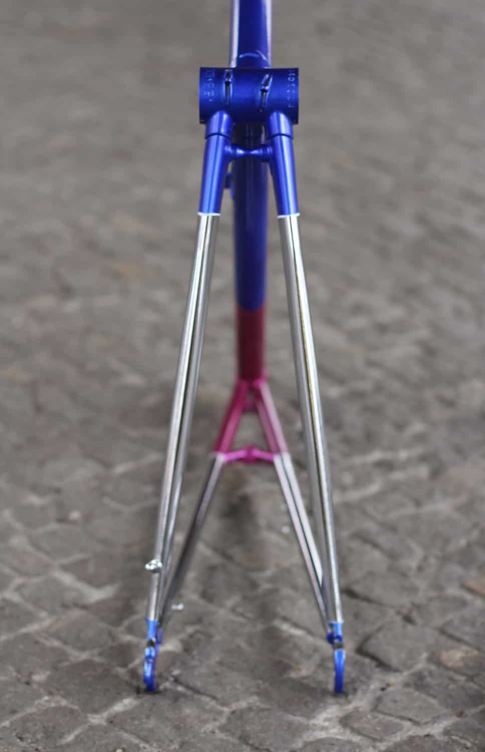 Atala Columbus EL Frame / 56 cm / White Blue Pink / 2.554g / Campagnolo ...