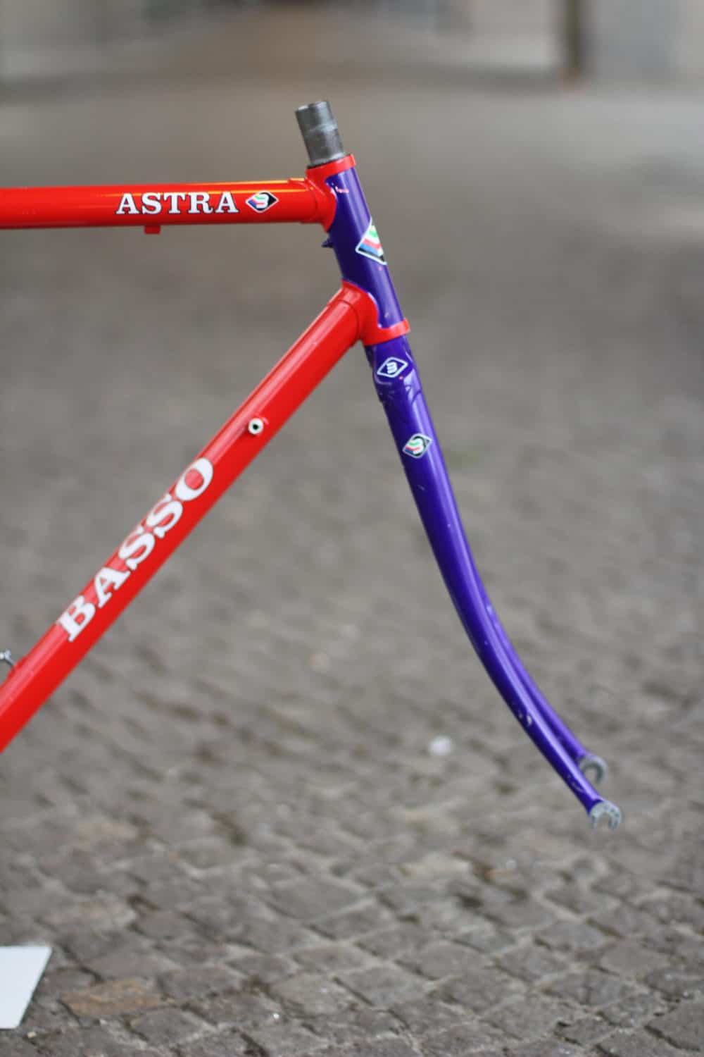Basso Astra Columbus EL Frame / 54 cm / Blue Red - velowizard.com