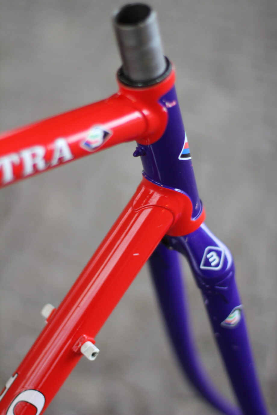 Basso Astra Columbus EL Frame / 54 cm / Blue Red - velowizard.com