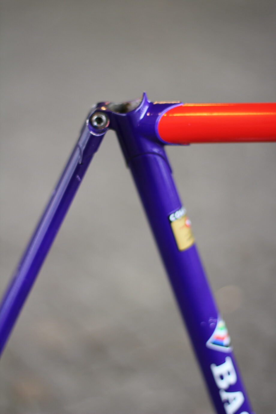 Basso Astra Columbus EL Frame / 54 cm / Blue Red - velowizard.com