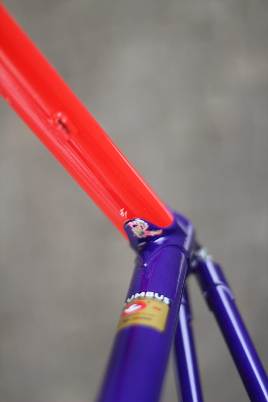 Basso Astra Columbus EL Frame / 54 cm / Blue Red - velowizard.com