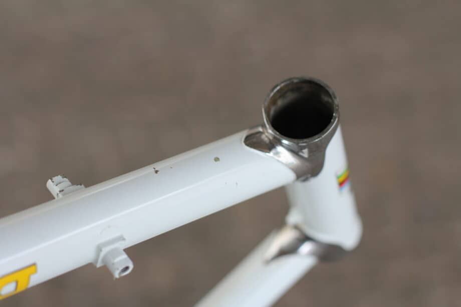 Basso Fior di Loto Columbus SLX Frame / 57 cm / White Yellow Raspberry ...
