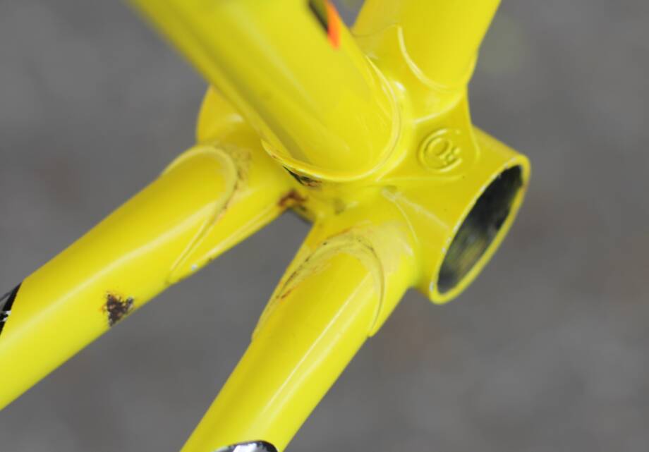 Pinarello Vuelta Frame / 56 cm / Yellow / Columbus ARX - velowizard.com