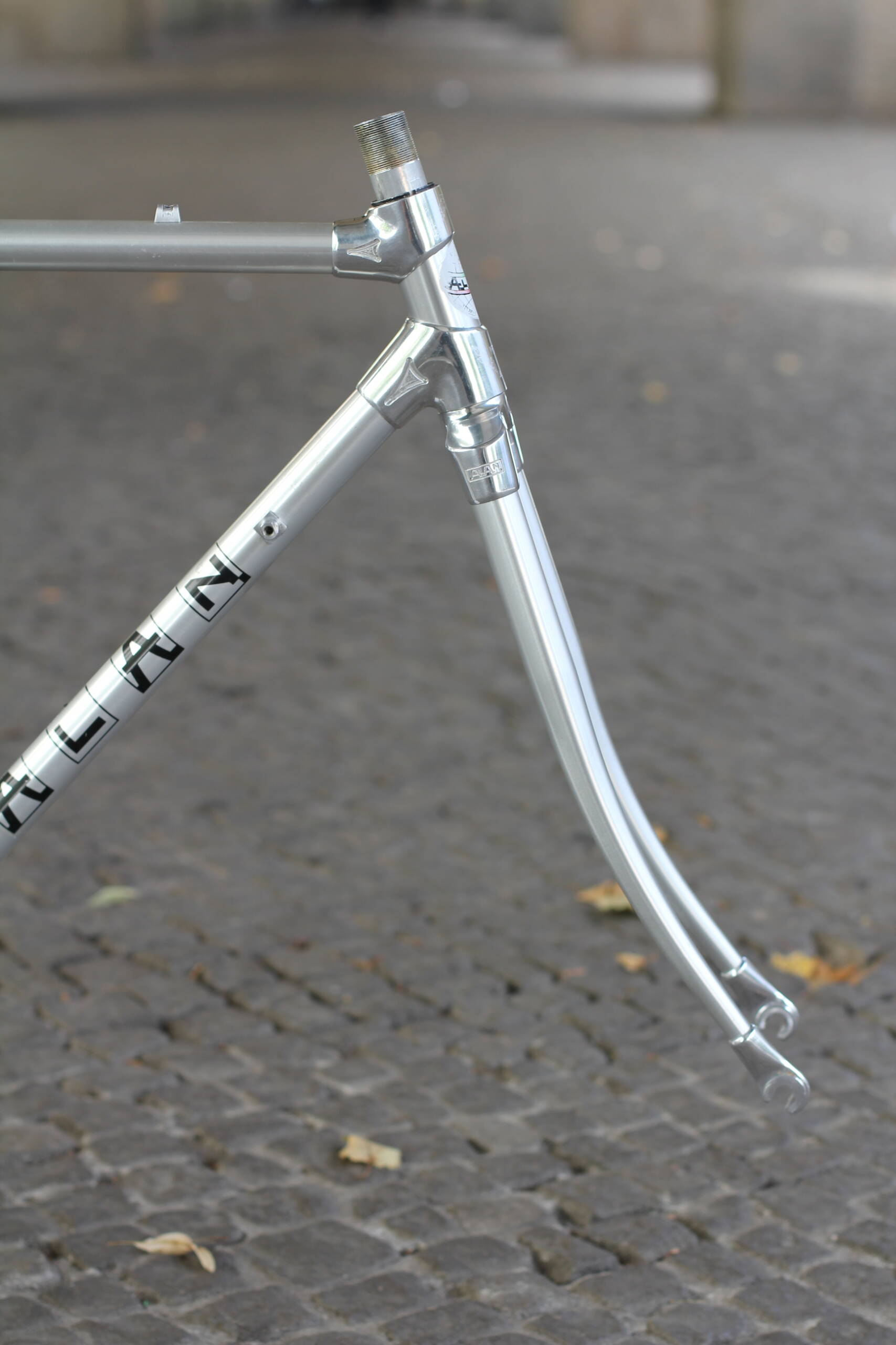ALAN Super Record Frame / 51 cm / Silver / 1983 – velowizard.com