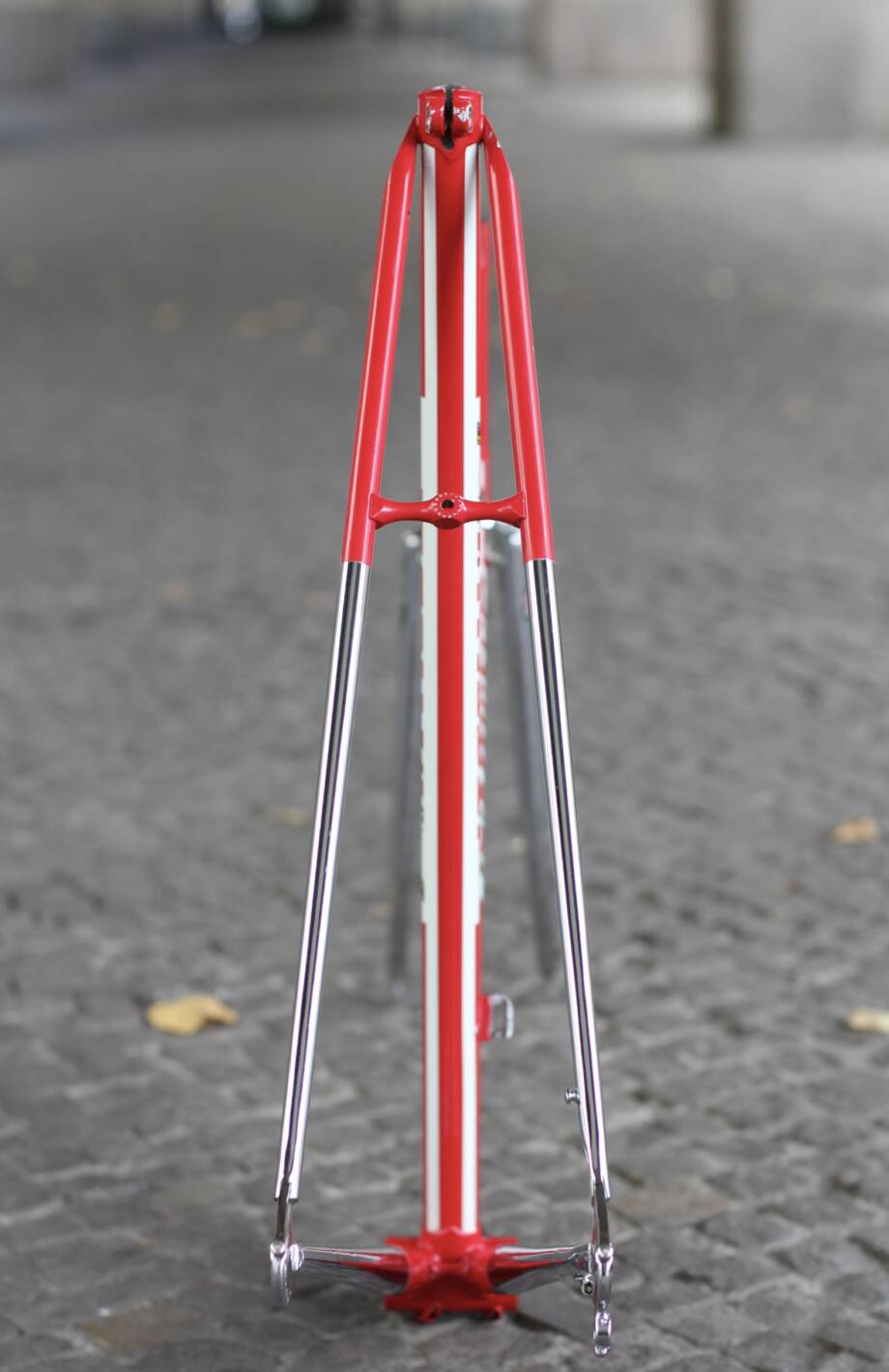 Francesco Moser Leader N.P. 51.151 Frame / 61 cm / Red White ...