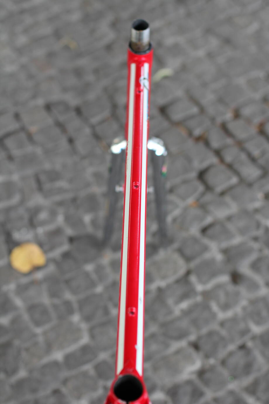 Francesco Moser Leader N.P. 51.151 Frame / 61 cm / Red White ...