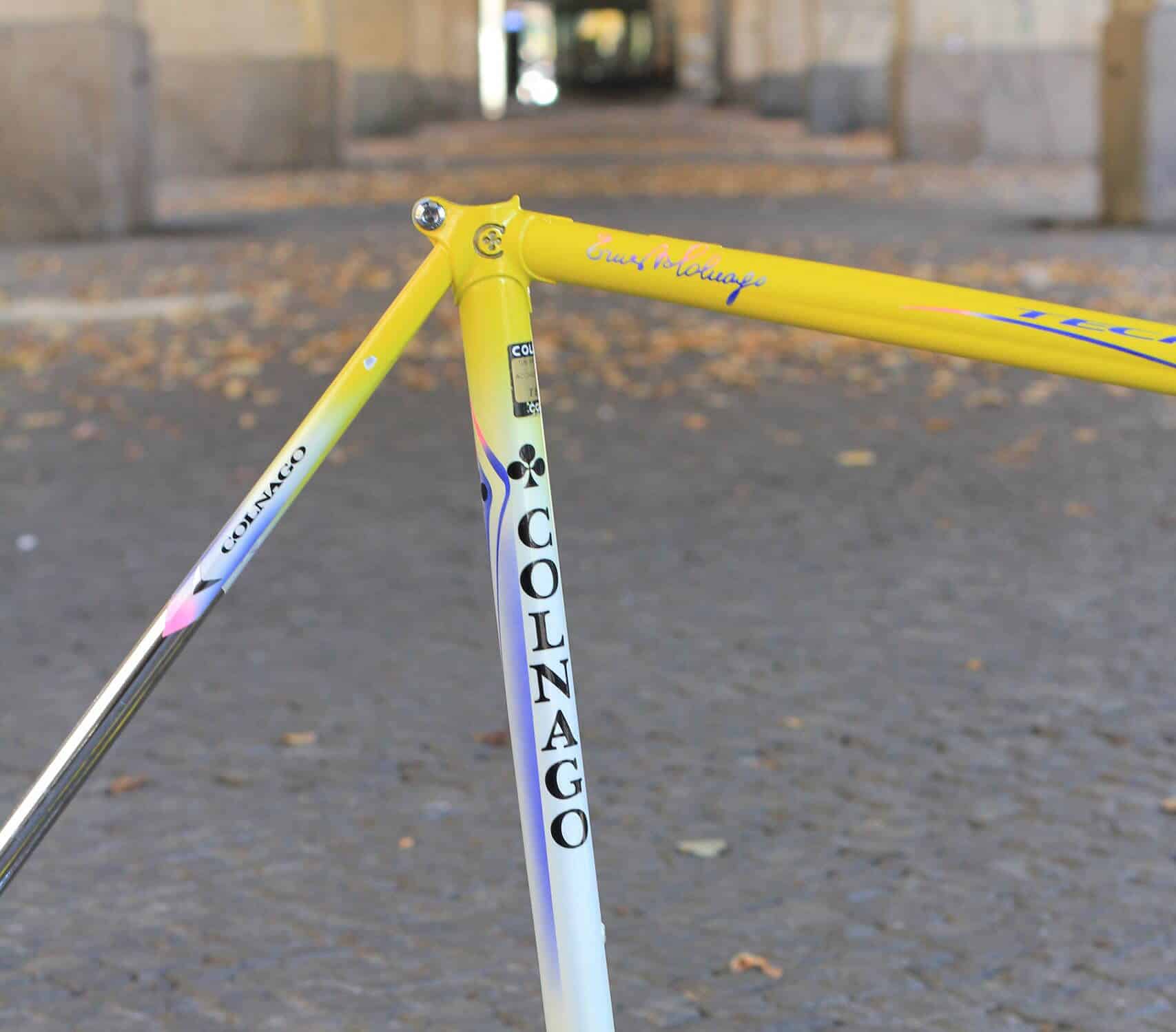 Colnago Tecnos Competition Art Decor Frame / 55.5 cm / Yellow Purple ...