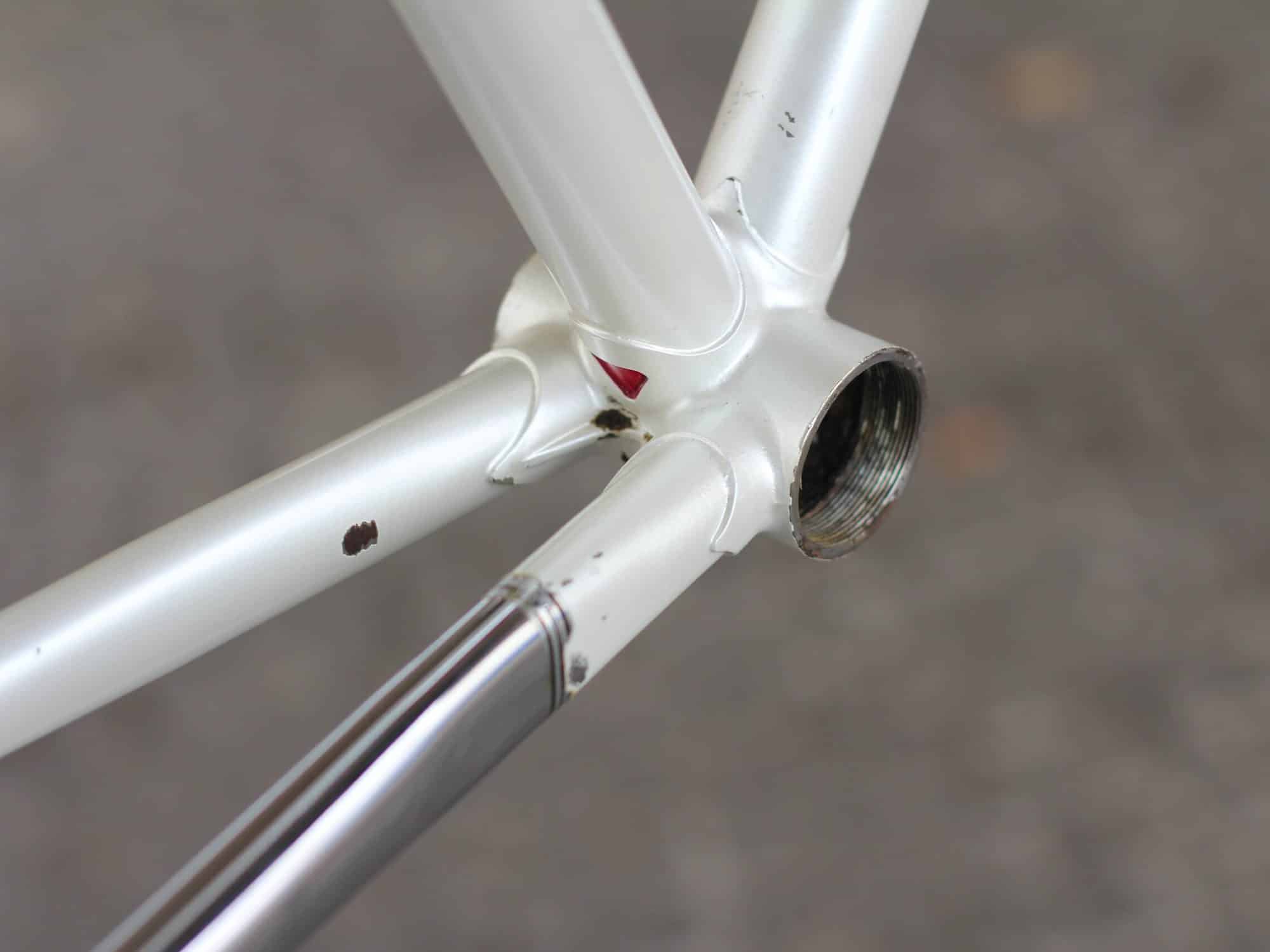 Eddy Merckx Corsa Extra Columbus SLX Frame / 54 cm / TeVe Blad Team ...