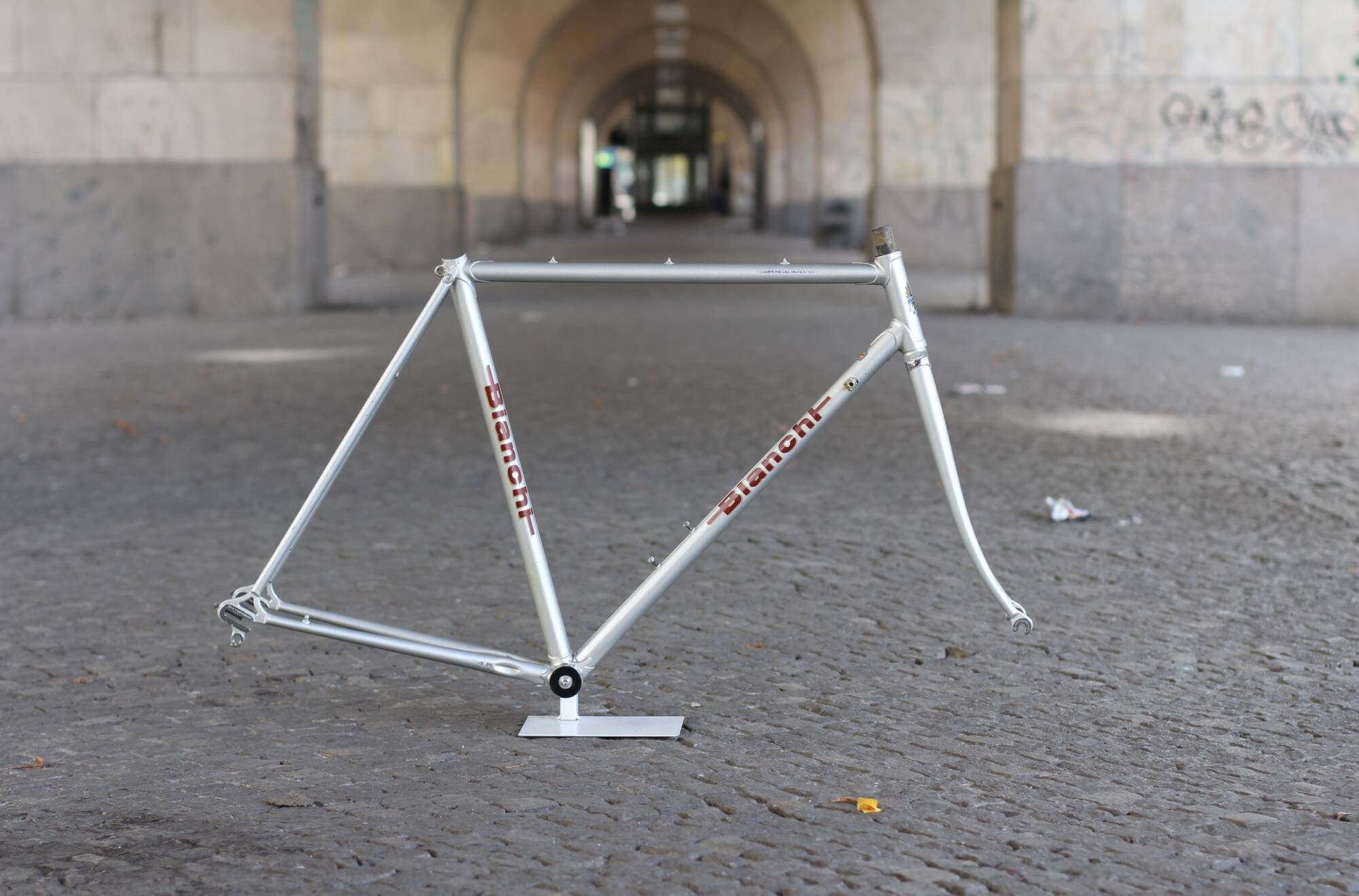 Bianchi Campione del Mondo 12V Frame / 53 cm / Silver - velowizard.com