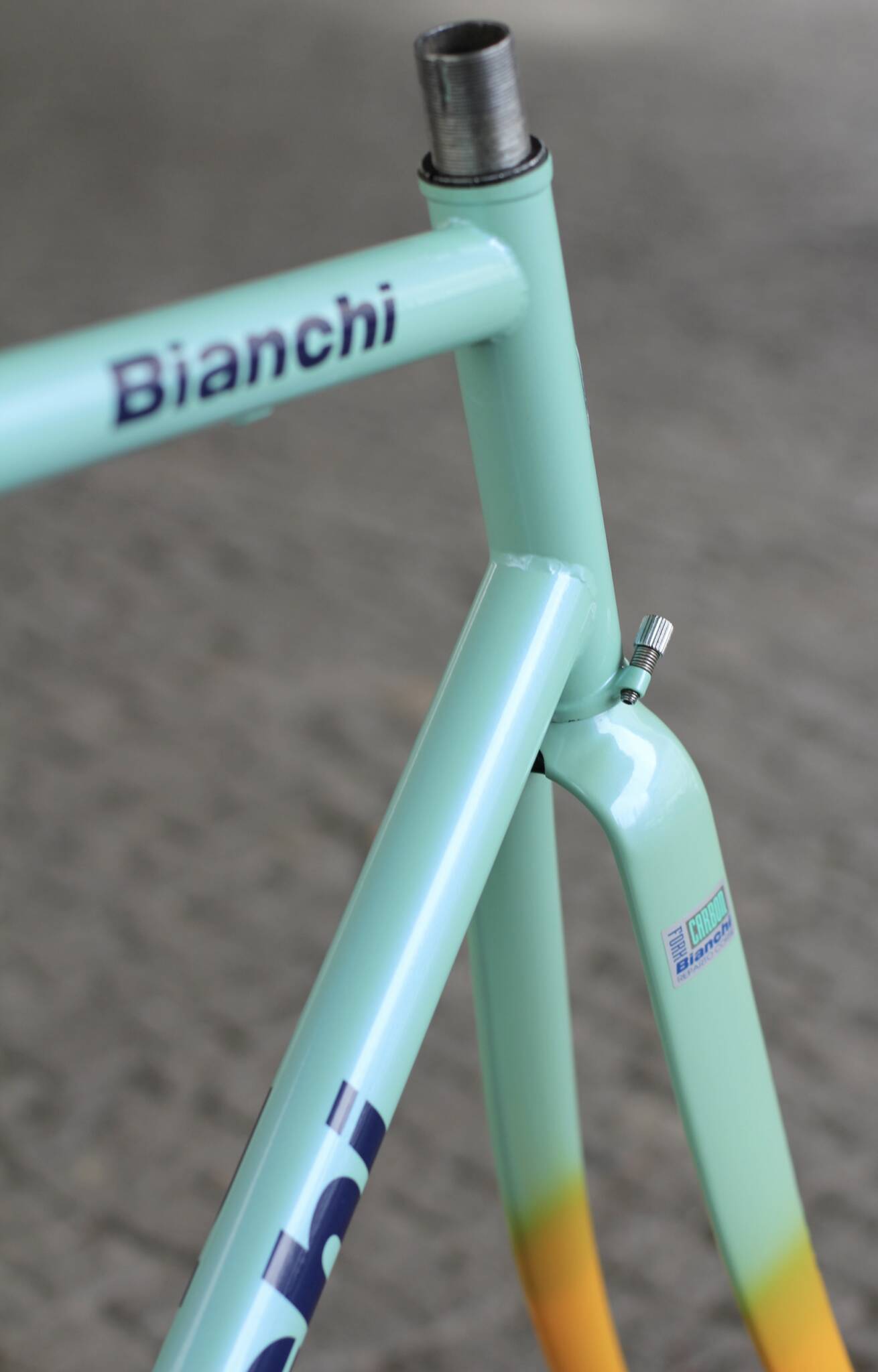 Bianchi Mega Pro XL Frame / 56 cm / Mercatone Uno / Boron Steel ...