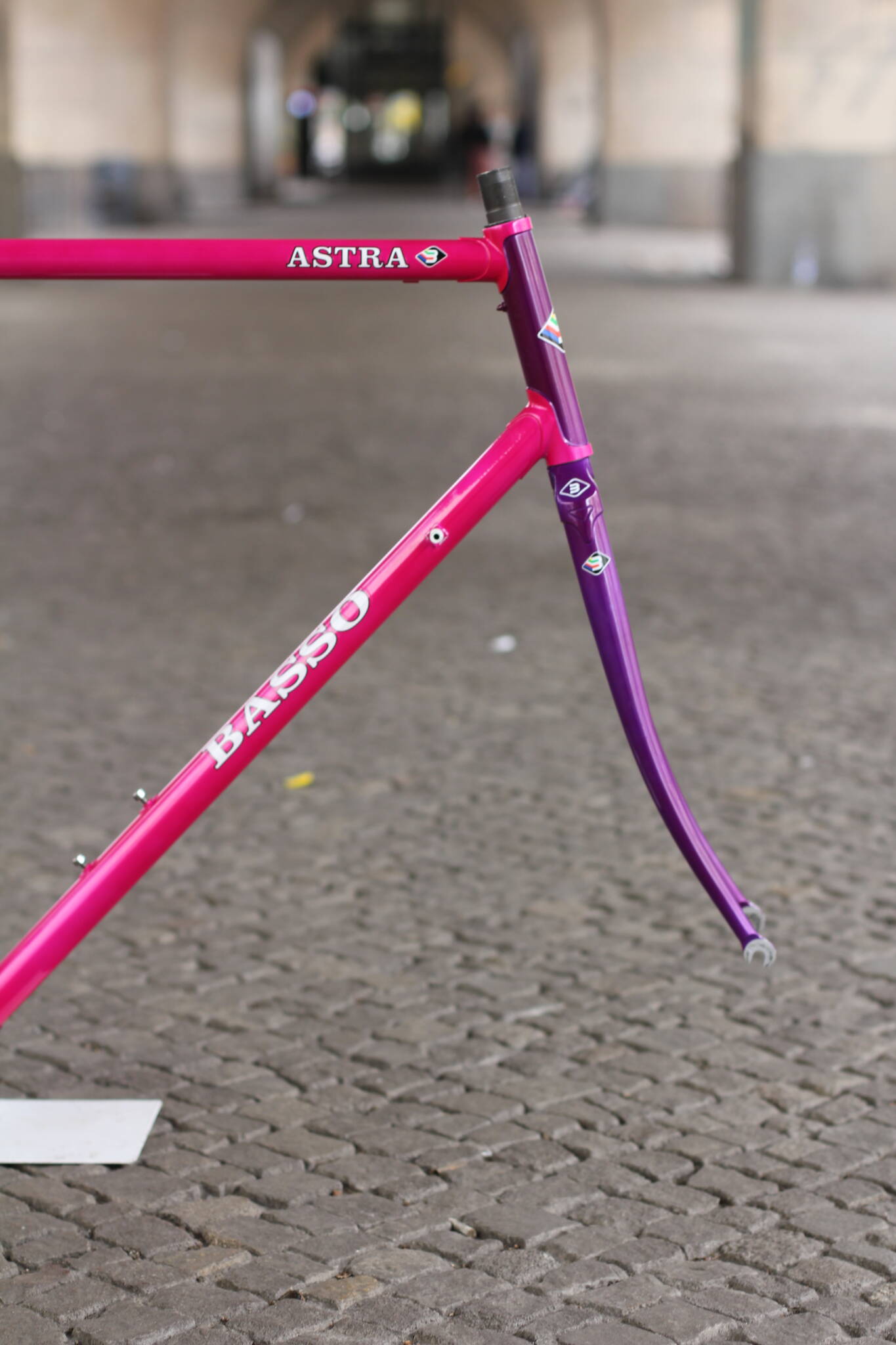 Basso Astra Columbus EL Frame / 60 cm / Purple - velowizard.com