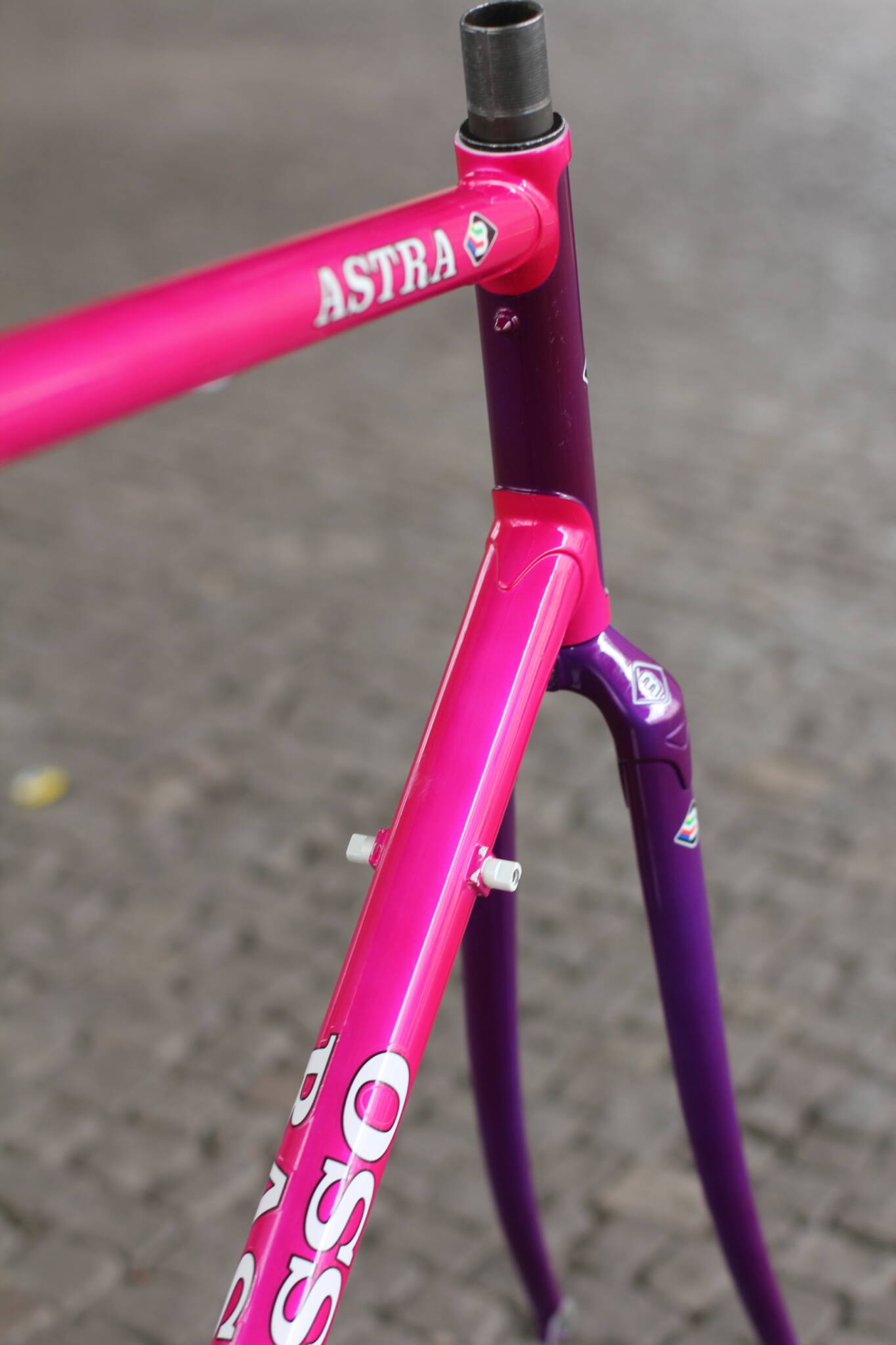 Basso Astra Columbus EL Frame / 60 cm / Purple - velowizard.com