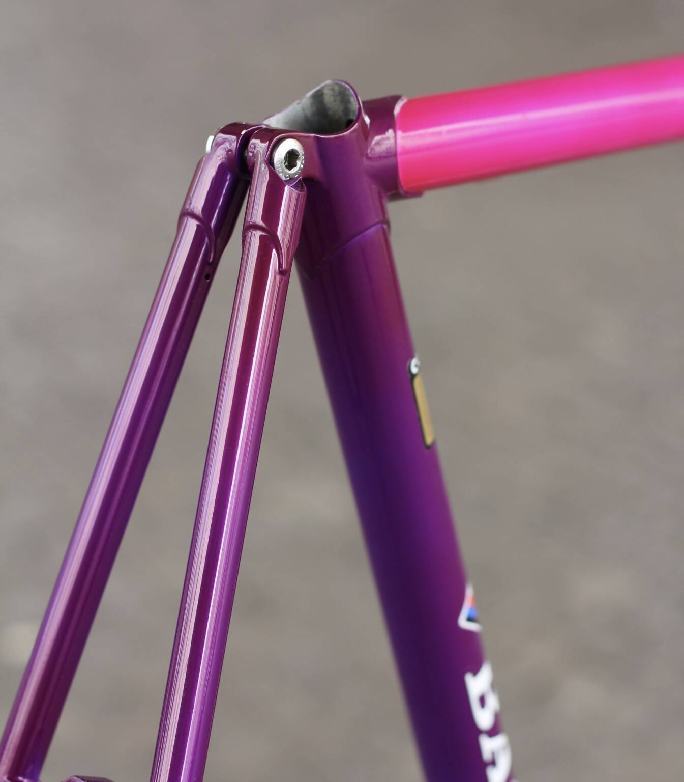 Basso Astra Columbus EL Frame / 60 cm / Purple - velowizard.com