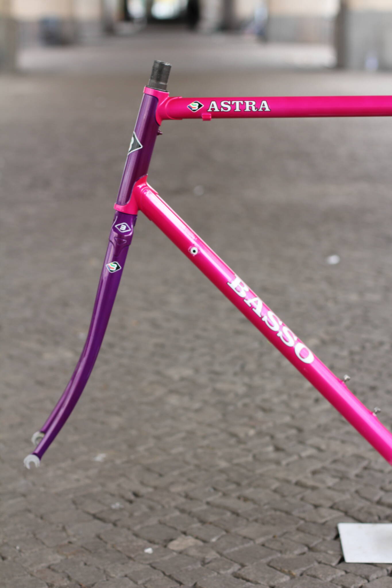 Basso Astra Columbus EL Frame / 60 cm / Purple - velowizard.com