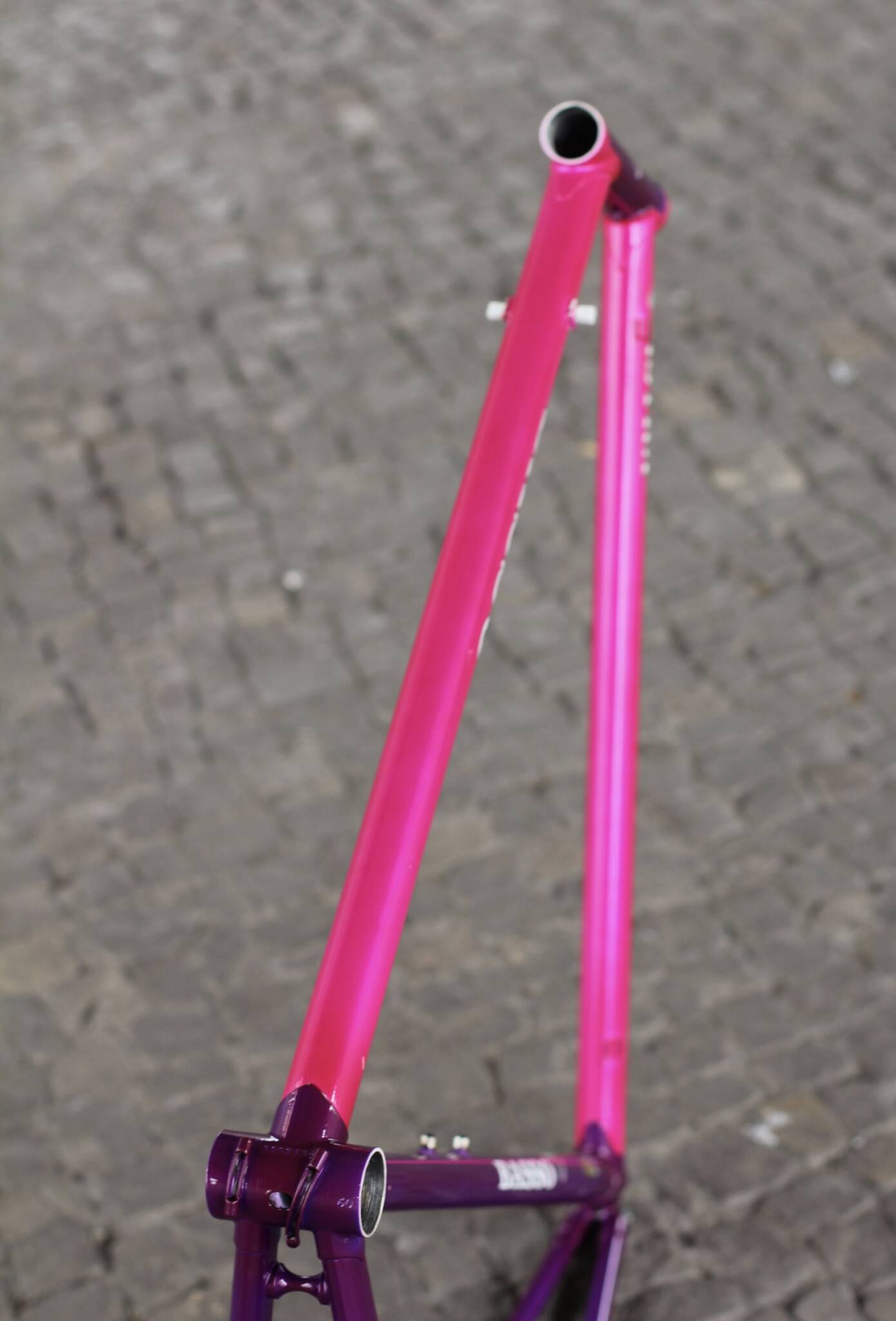 Basso Astra Columbus EL Frame / 60 cm / Purple - velowizard.com