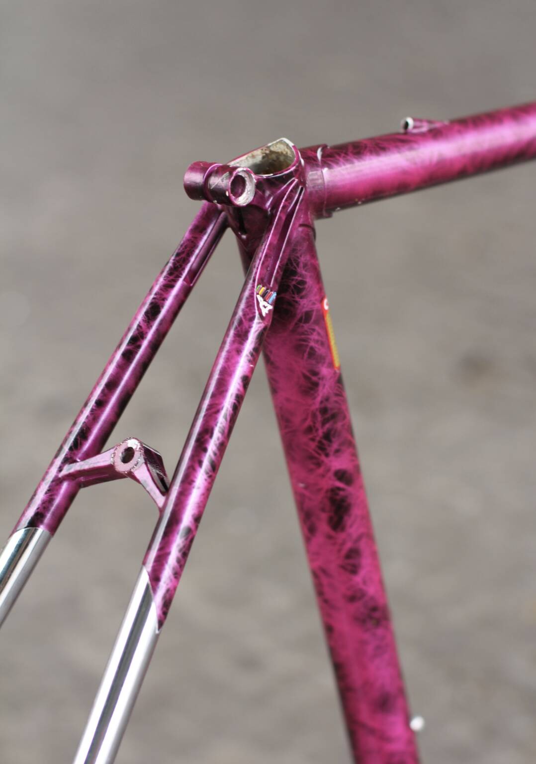 Casati Monza Columbus TSX Frame / 46 cm - velowizard.com