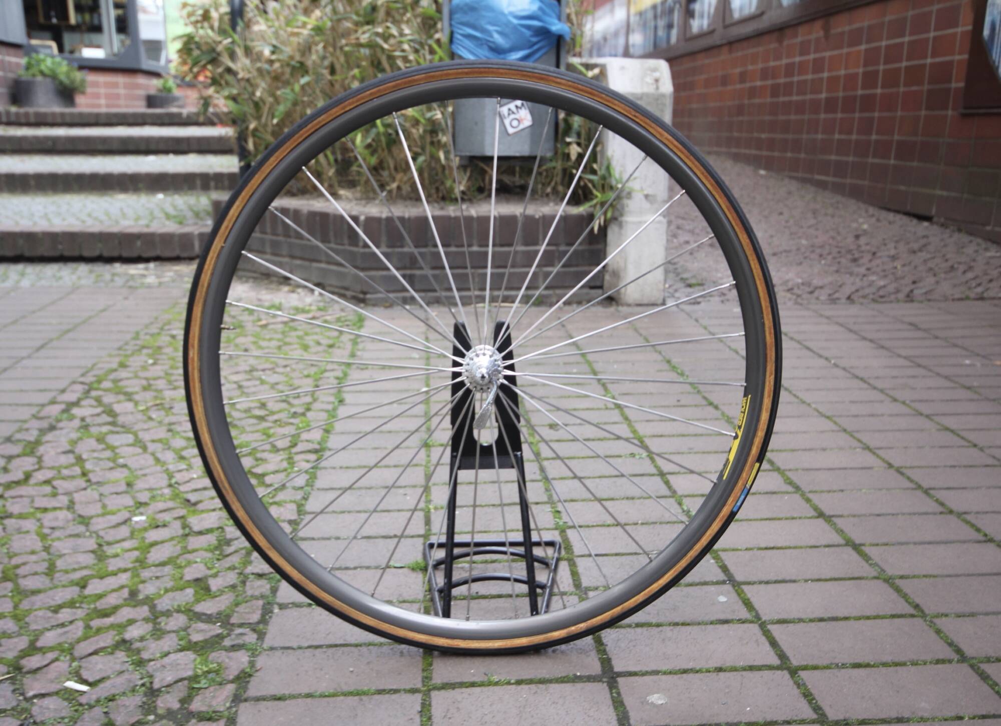 Campagnolo C-Record / Wolber Profil 20 / 32H / Front Wheel - velowizard.com