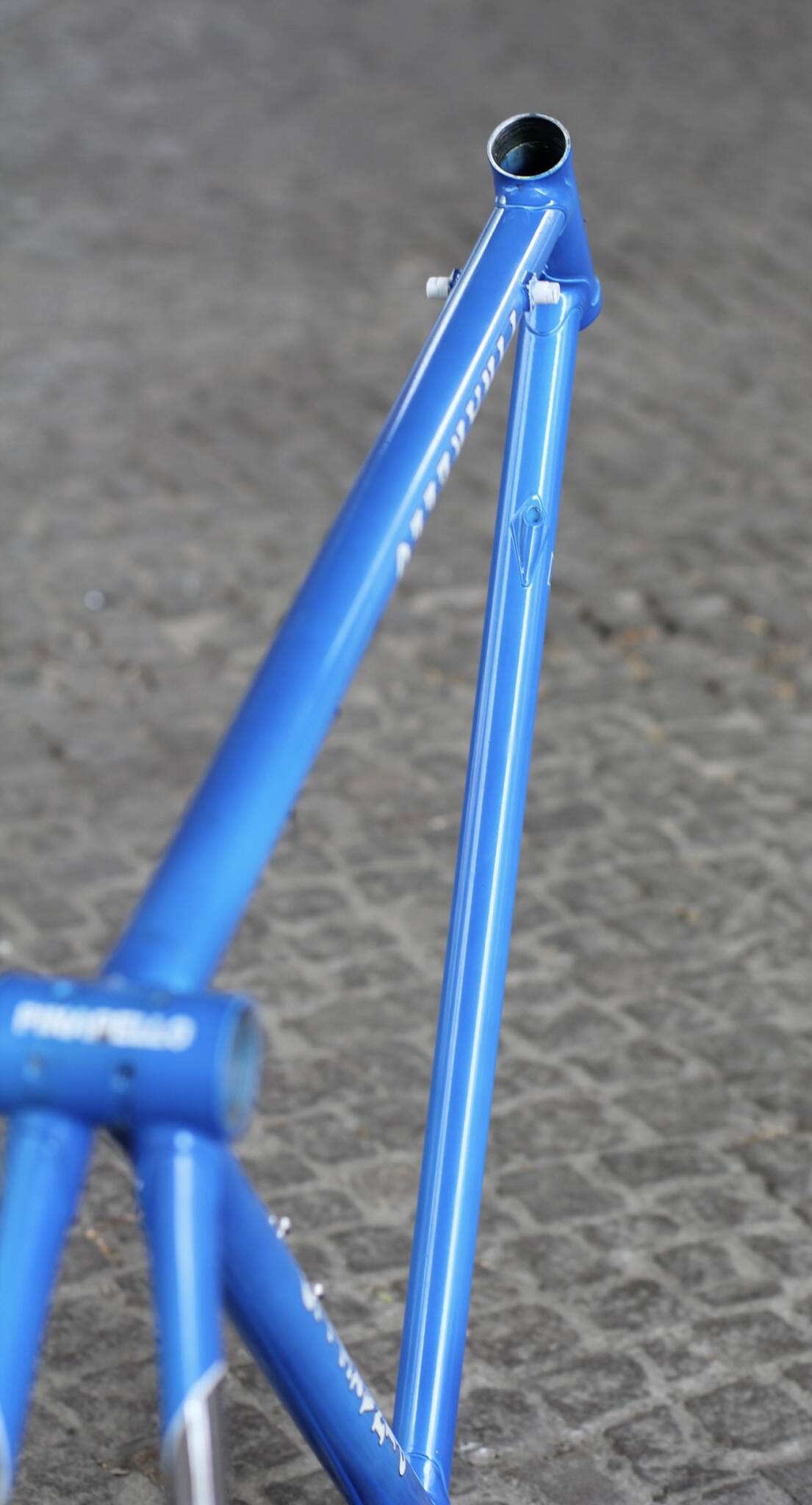 Pinarello Treviso GPX Frame / 52 cm / Azure Blue – velowizard.com