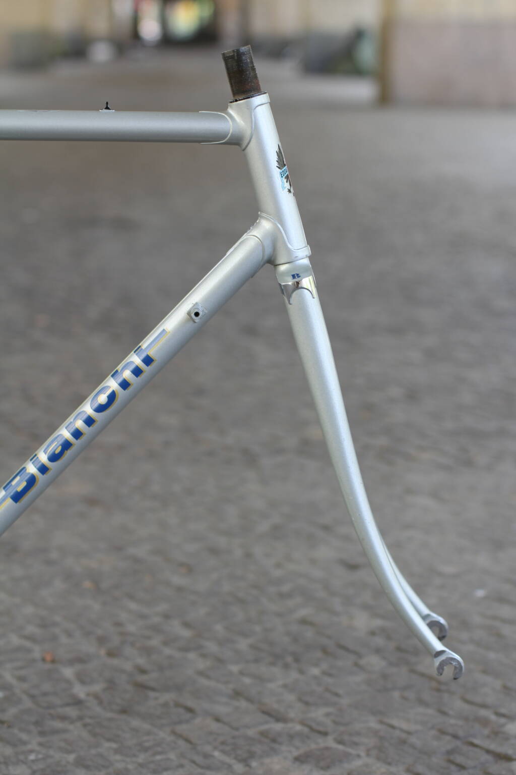 Bianchi Specialissima Super Leggera Frame / 55 cm / Silver / 1979 ...