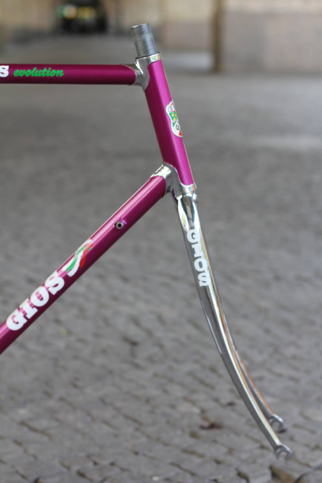 Gios Compact Pro Evolution Frame / 59,5 cm / Purple – velowizard.com