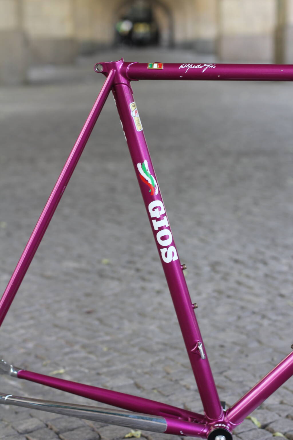 Gios Compact Pro Evolution Frame / 59,5 cm / Purple – velowizard.com