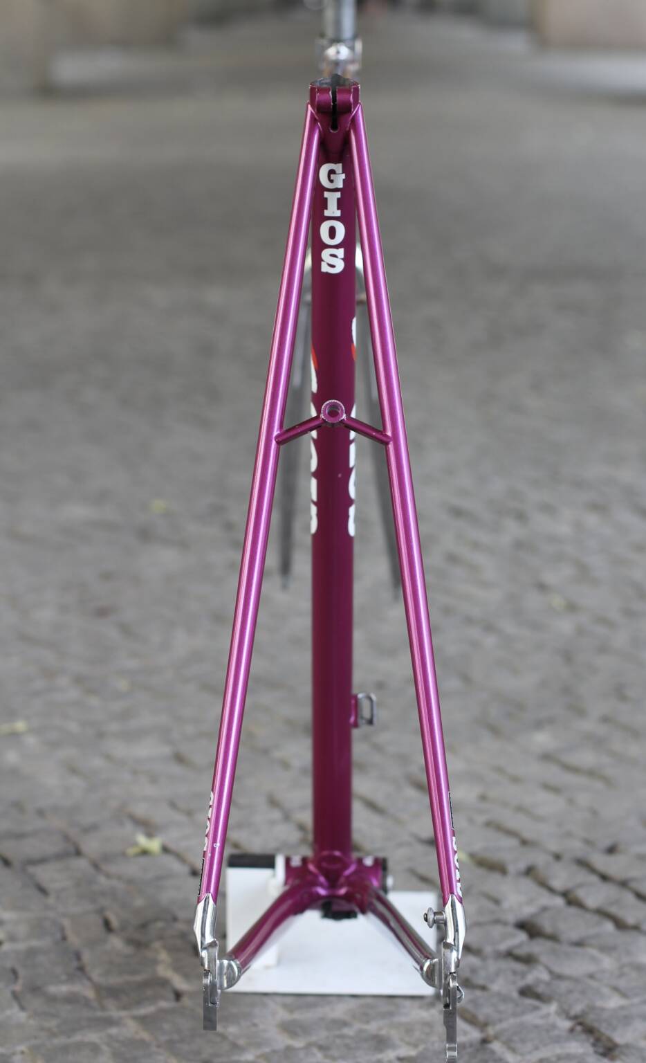 Gios Compact Pro Evolution Frame / 59,5 cm / Purple – velowizard.com