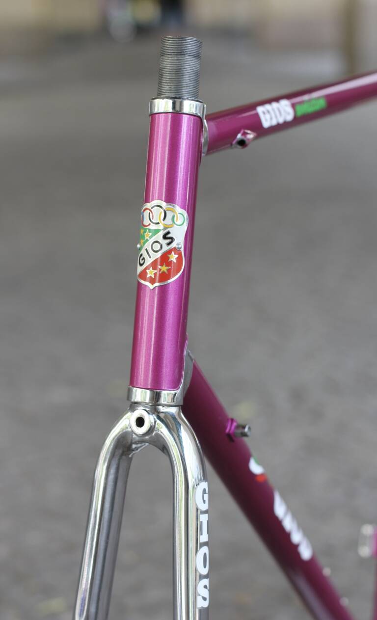 Gios Compact Pro Evolution Frame / 59,5 cm / Purple – velowizard.com