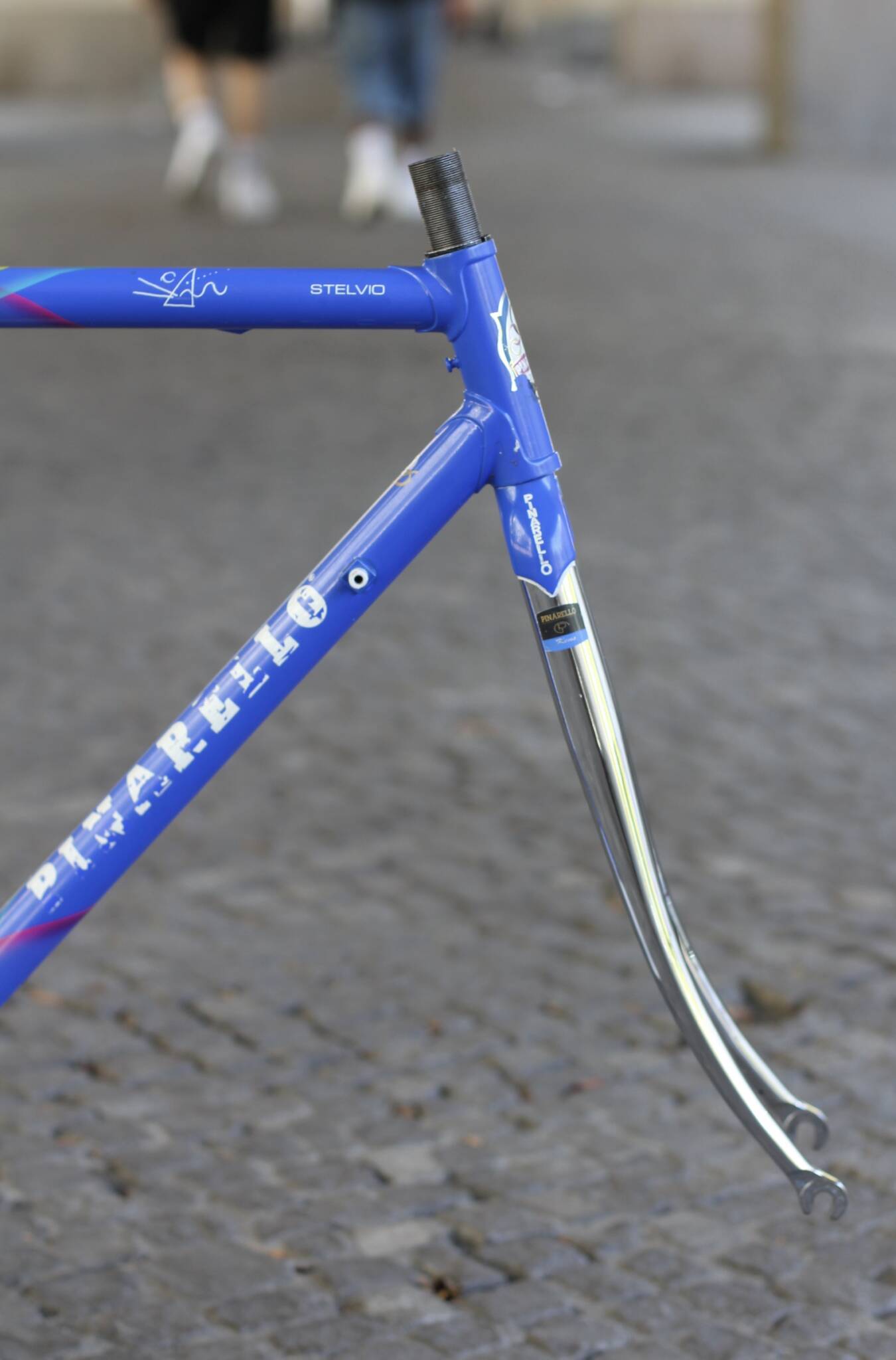 Pinarello Stelvio Frame / 52 cm / Azure Blue – velowizard.com
