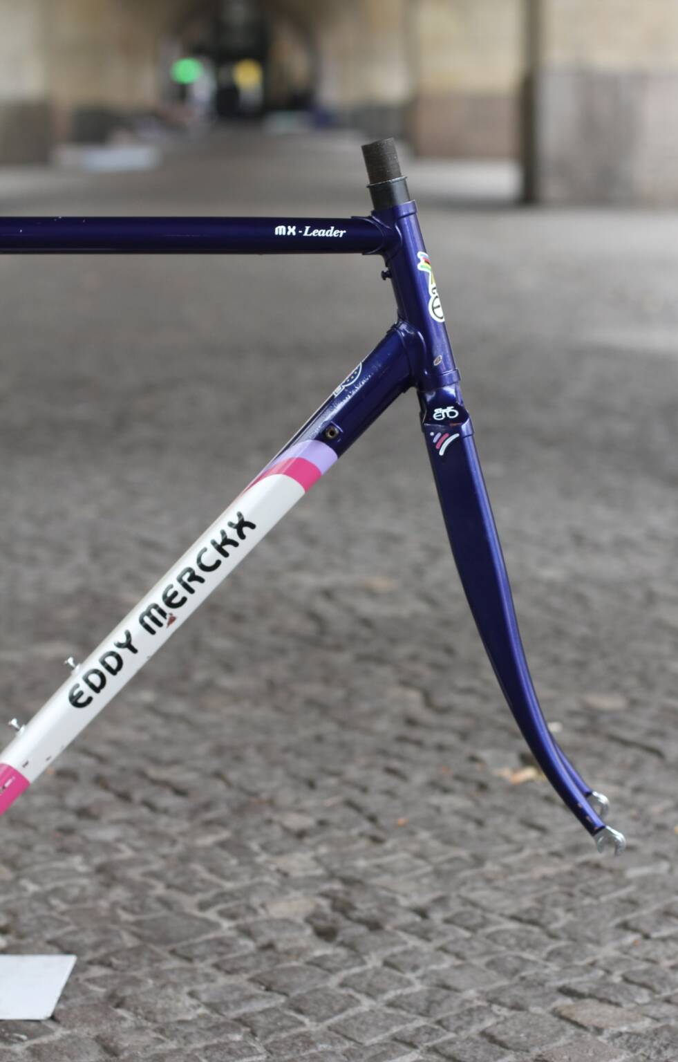 Eddy Merckx MX Leader Frame / 55 cm / Magenta Blue – velowizard.com