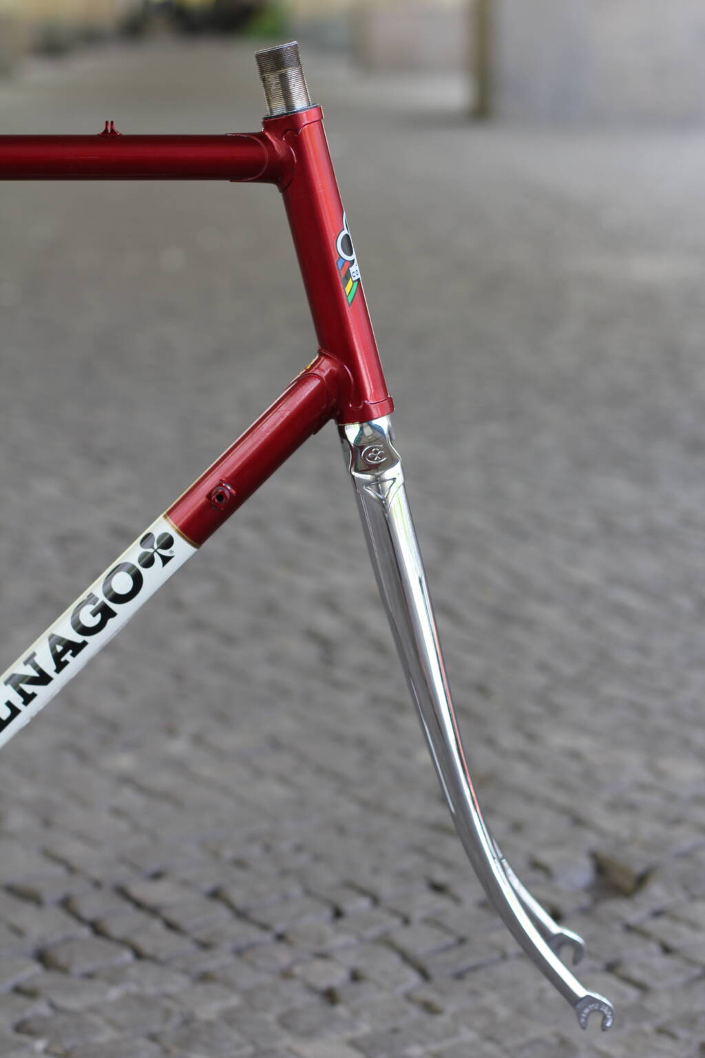 Colnago Mexico Frame / 59,5 cm / Saronni Red – velowizard.com