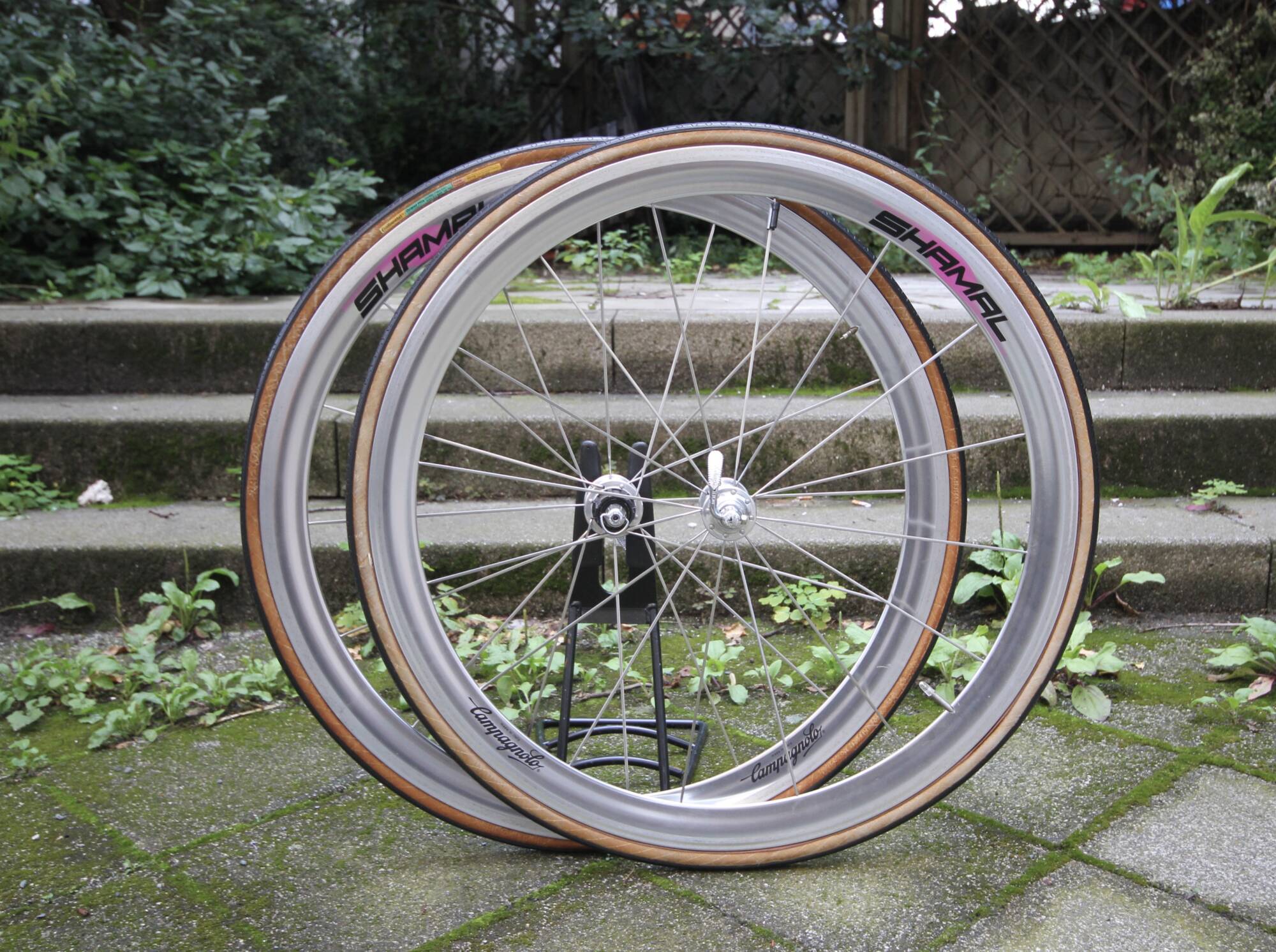 Campagnolo Shamal / Clincher - velowizard.com