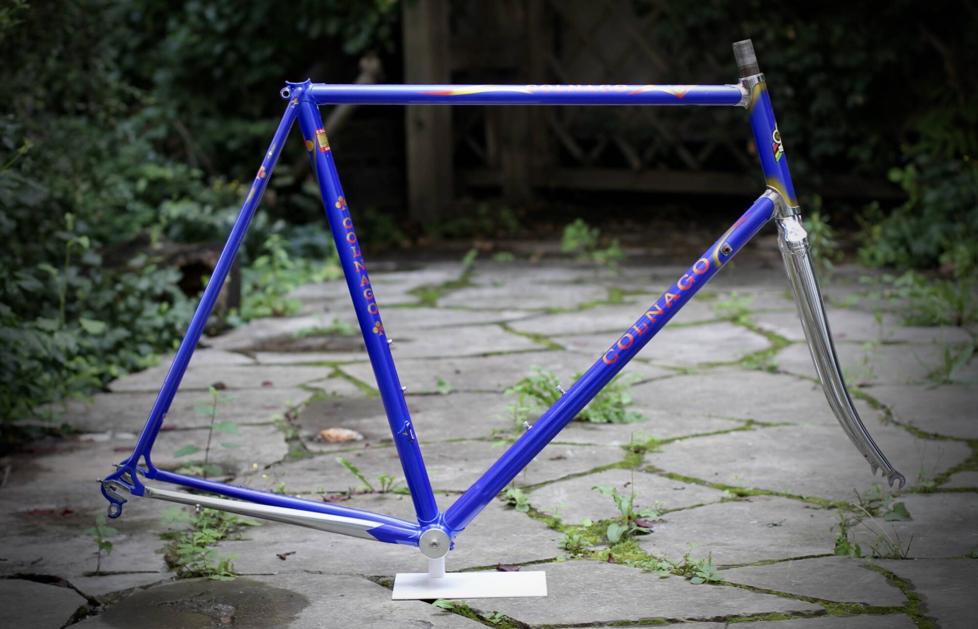 Colnago Spiral Conic Columbus SLX Frame / 61 cm - velowizard.com