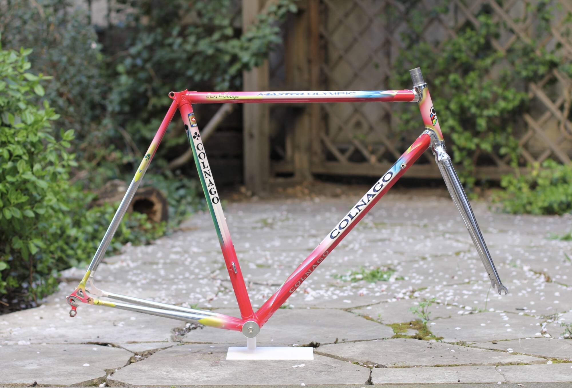 Colnago Master Olympic Frame / AD11 / 55,5 cm – velowizard.com
