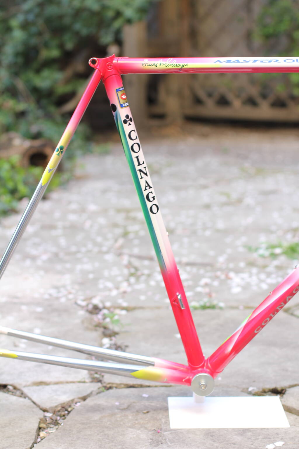Colnago Master Olympic Frame / AD11 / 55,5 cm – velowizard.com