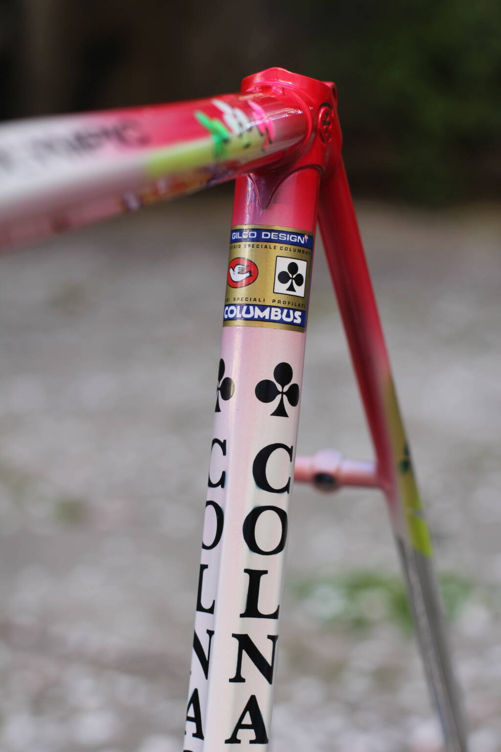 Colnago Master Olympic Frame / AD11 / 55,5 cm – velowizard.com