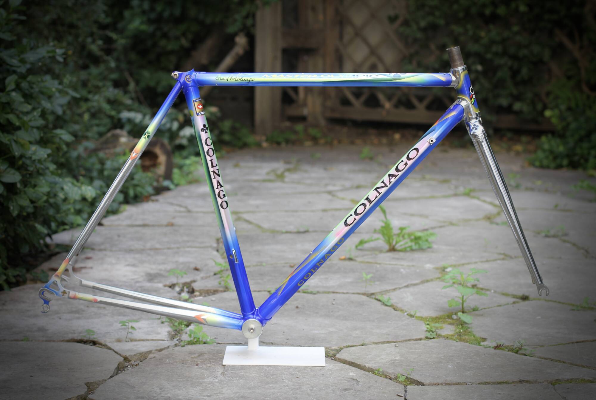 Colnago Master Olympic Frame / 50.5 cm - velowizard.com