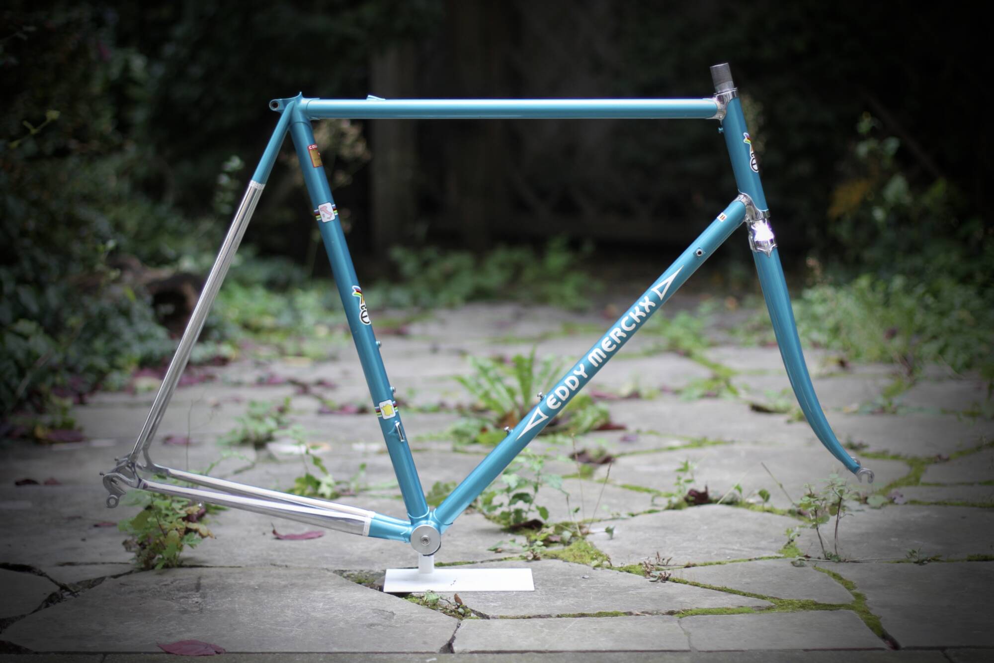 Eddy Merckx Columbus TSX Frame / 60 cm - velowizard.com