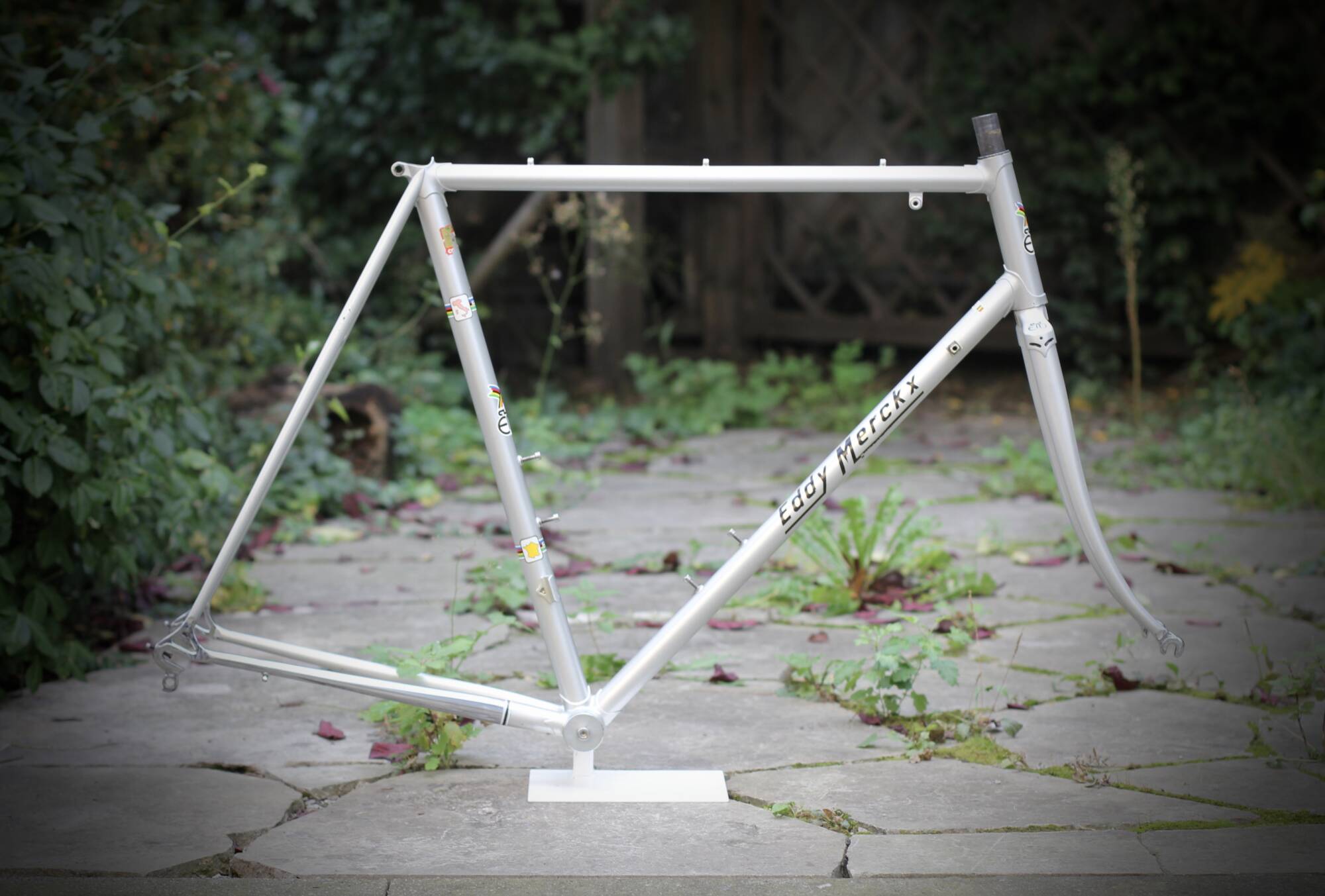 Eddy Merckx Professional Frame / 58 cm - velowizard.com