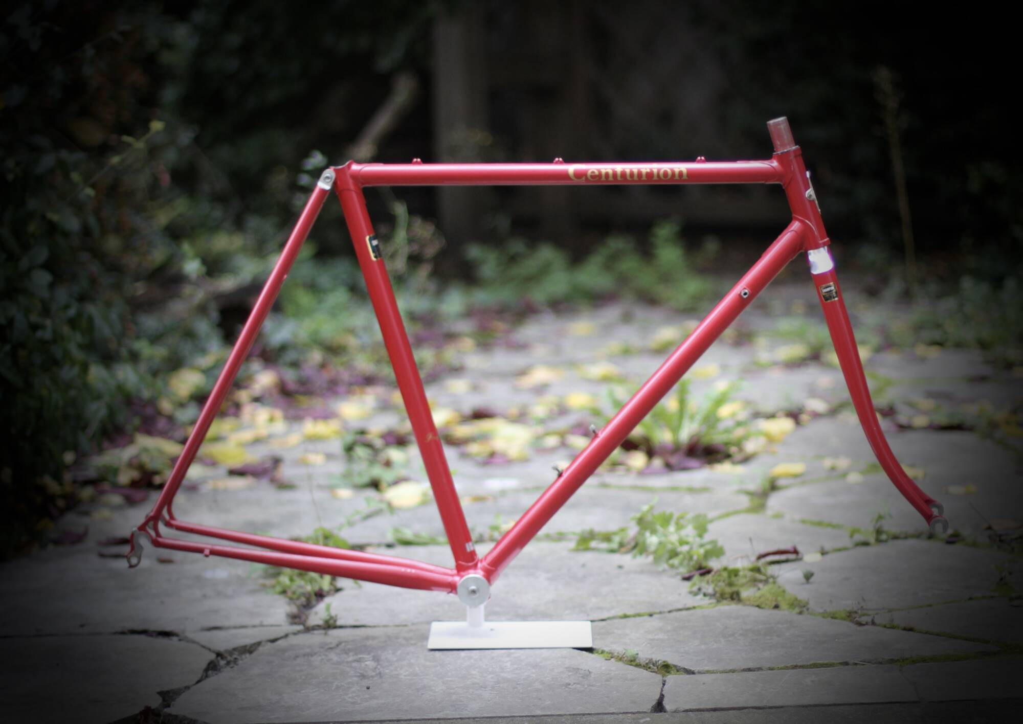 Centurion Professional Frame / 53 cm - velowizard.com