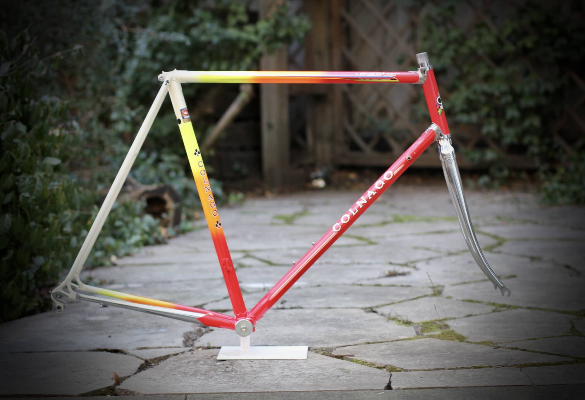 Colnago Master Piu Frame / 58.5 cm - velowizard.com